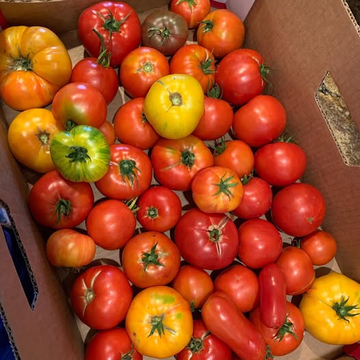 Too Many Tomatoes? Roasted Tomato Sauce! – In the Kitchen with Polly